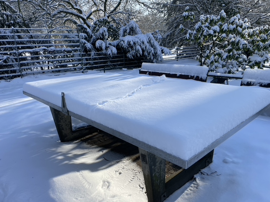 Snow – Spintronics, Orbitronics, and Physics Beyond